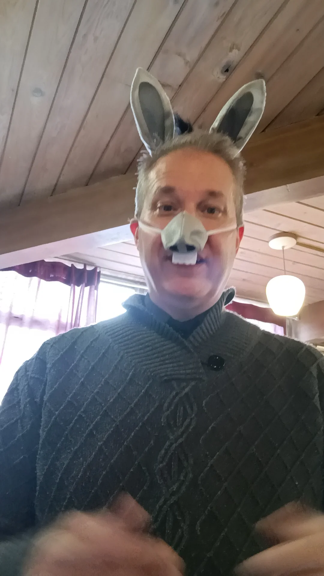 Palm Sunday Sermon by Al the Donkey