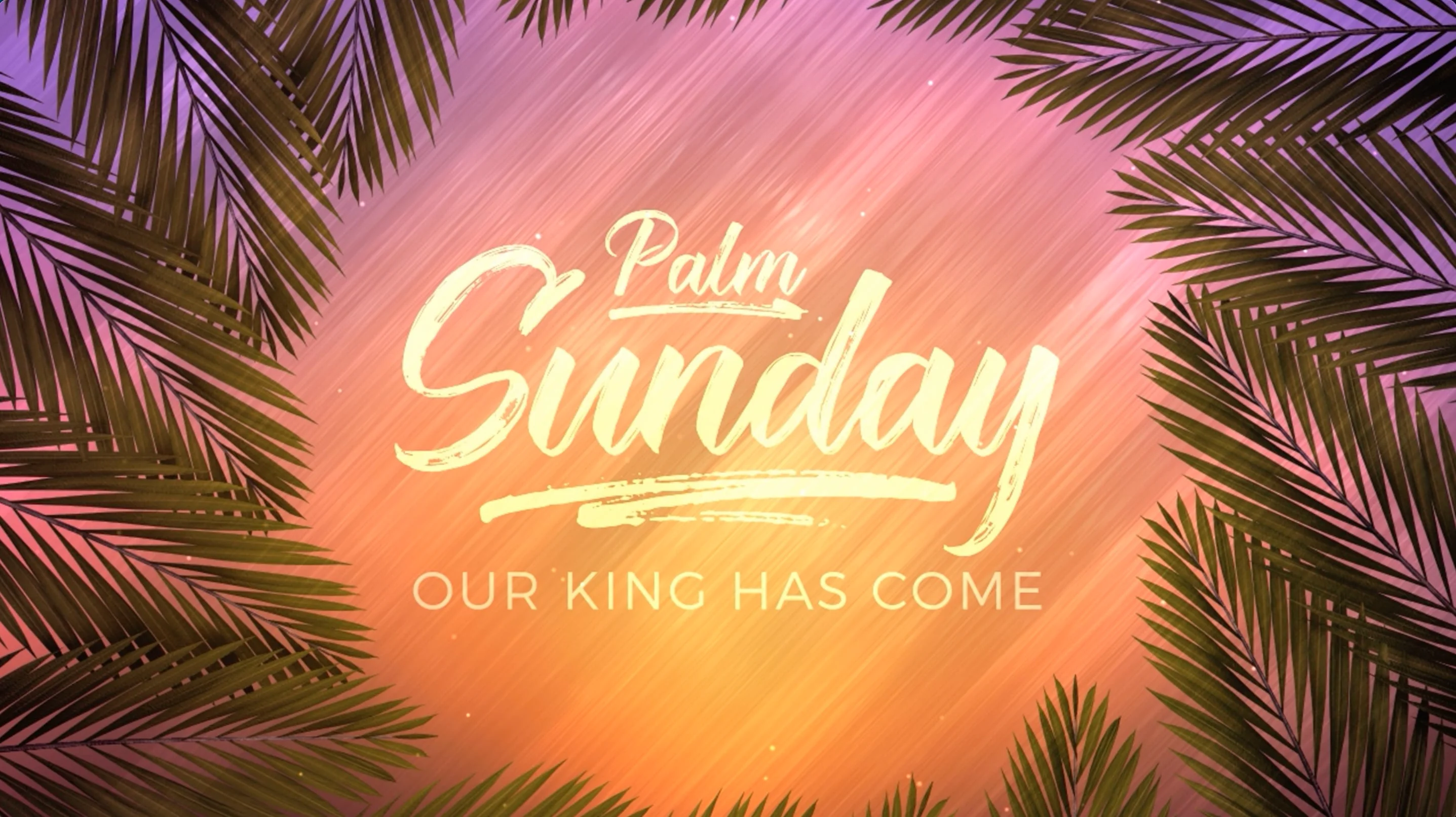 Guest Speaker - Tim Allred