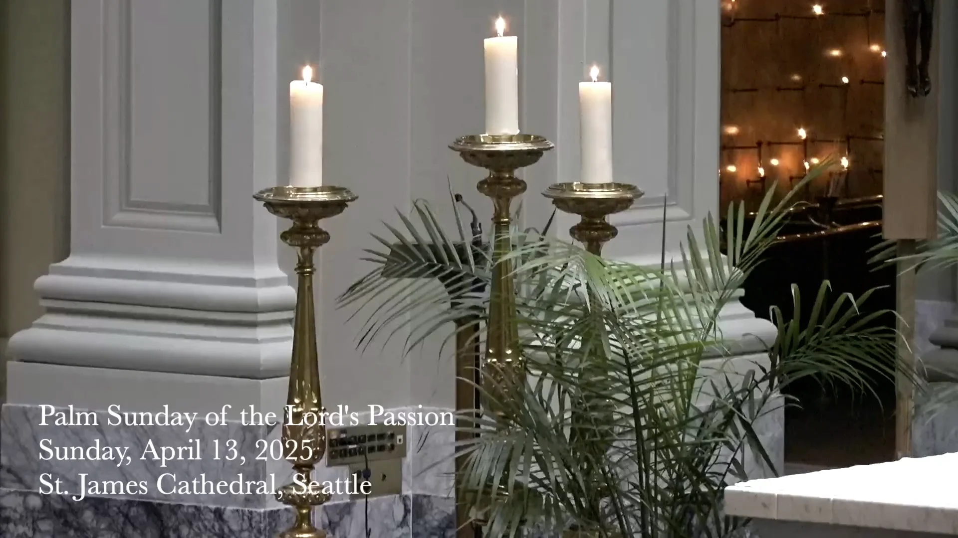 Palm Sunday, April 13, 2025 10:00am Mass