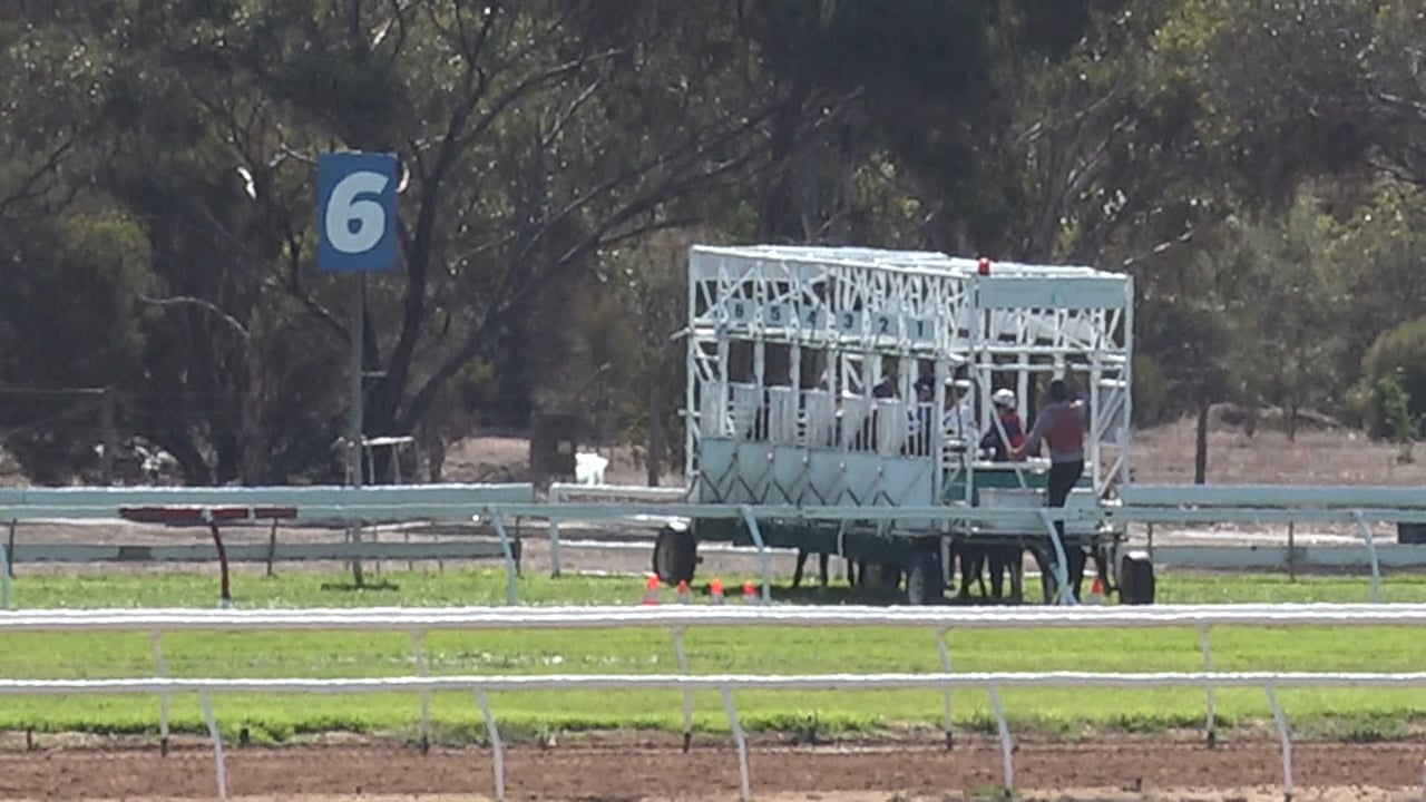 14/04/2025 Strathalbyn • Racing SA