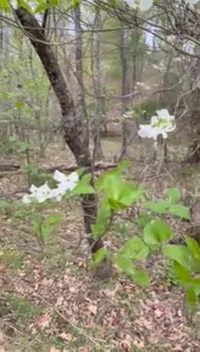 Monday, April 14 2025 - Morning Devotion with Pastor Chip