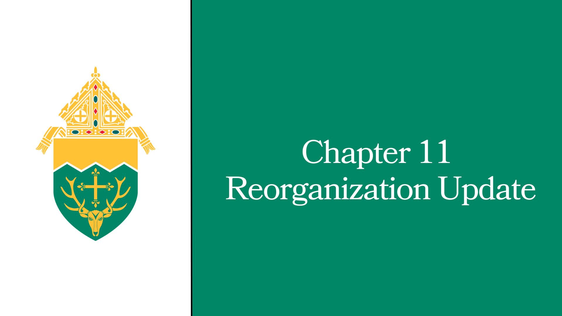 Chapter 11 Reorganization Update 4/14/2025