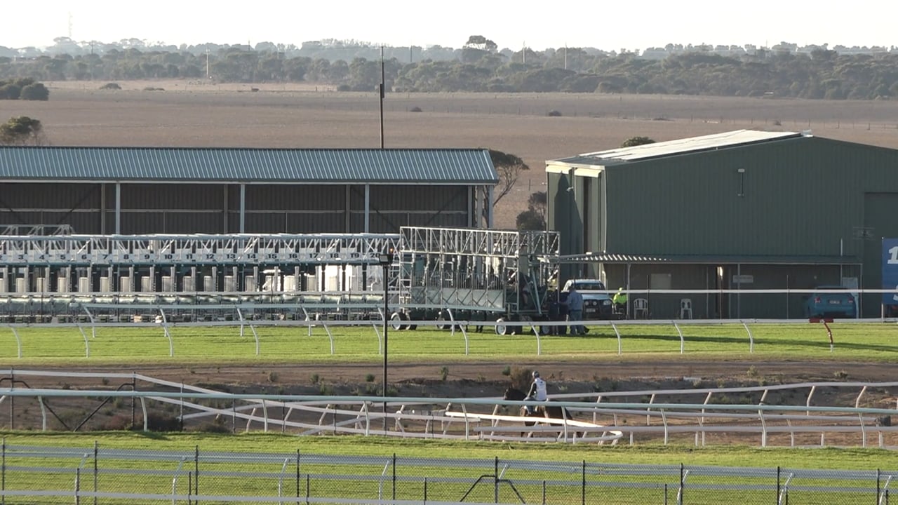 14/04/2025 Murray Bridge • Racing SA