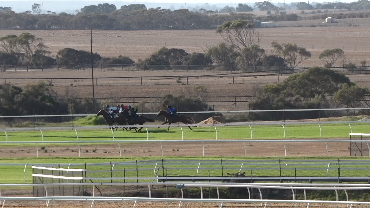 14/04/2025 Murray Bridge • Racing SA