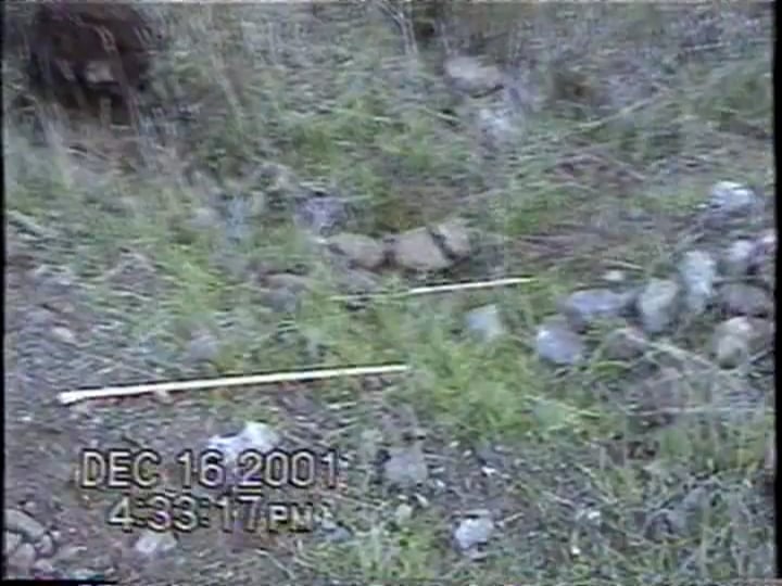 46 2001 Dec