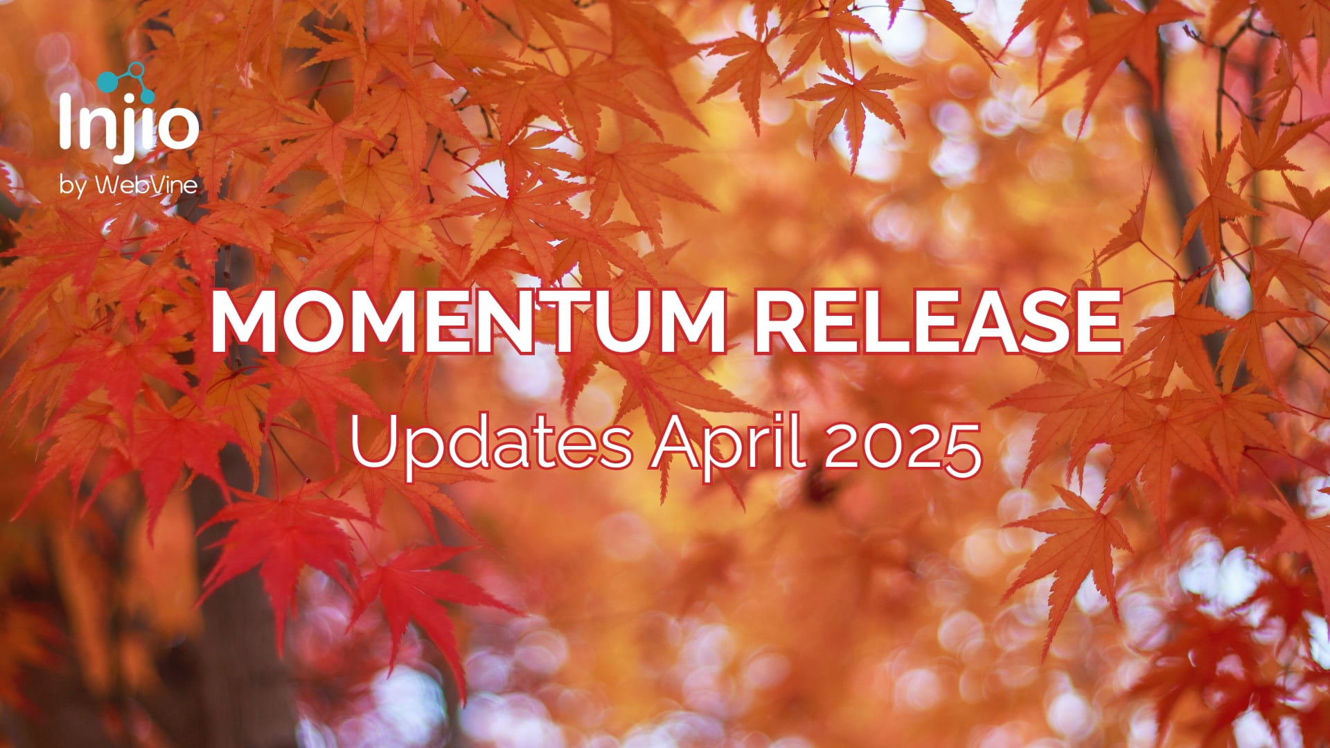 Injio Momentum Release (Autumn 2025)