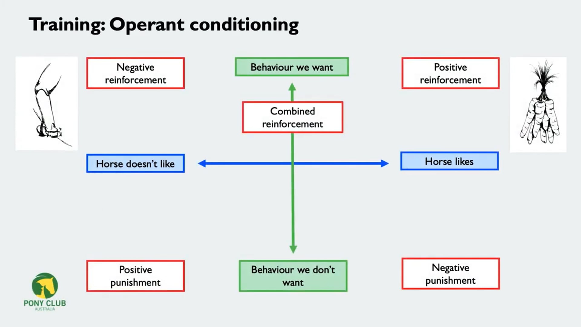 Training Operant Conditioning | Ridely