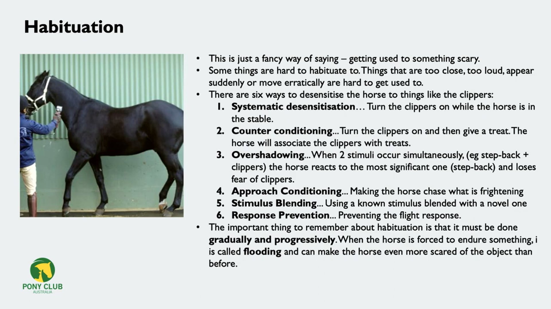 Habituation, Conditioning, Shaping and Pressure Release | Ridely