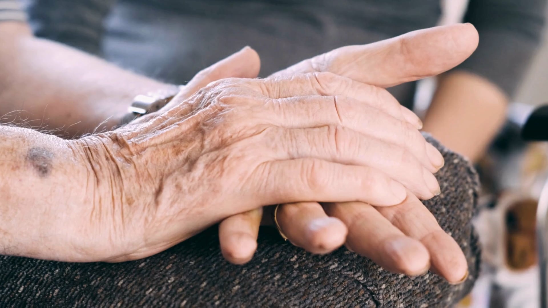 BWCARE - Complex Wounds, Surgical Soft Tissue Reconstruction, Myriad Matrix