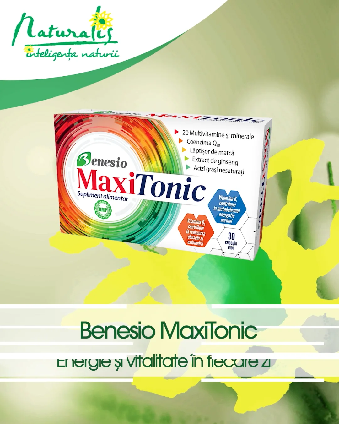 Maxitonic NT