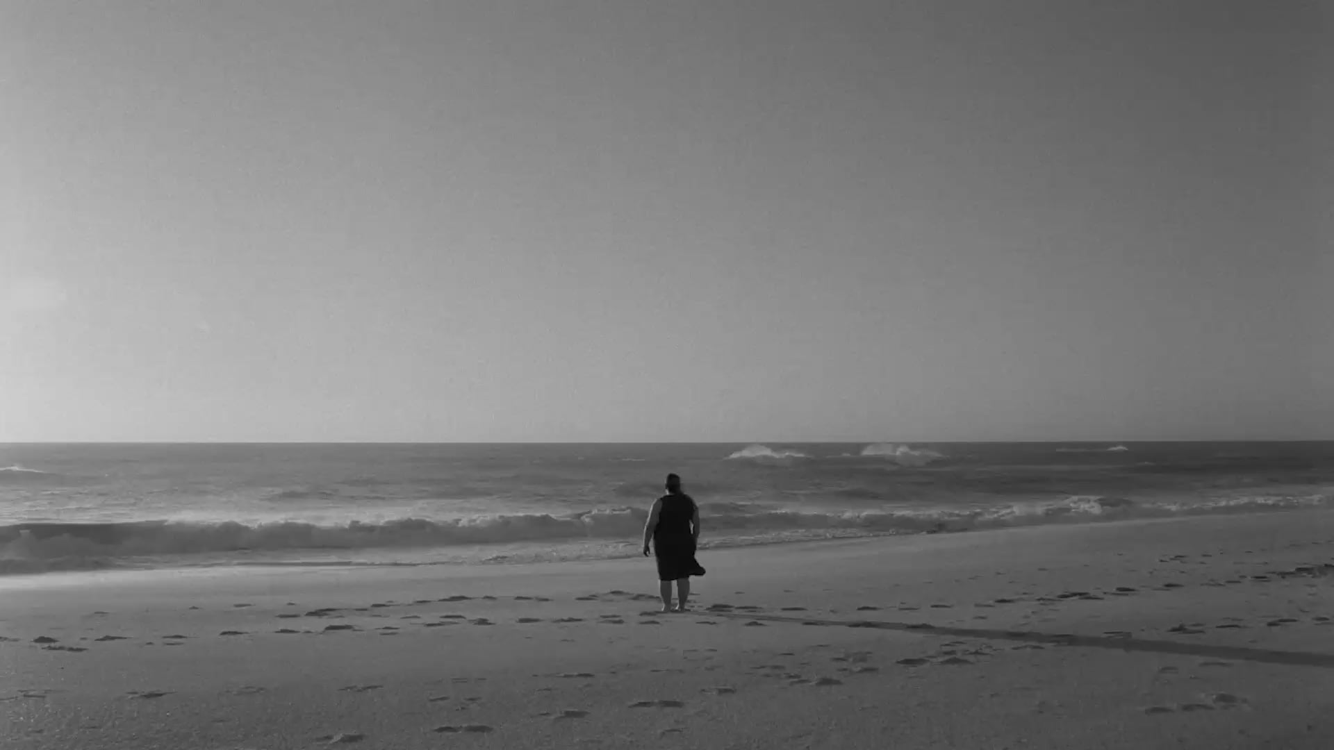 Malik Hassan Sayeed - Little Minx