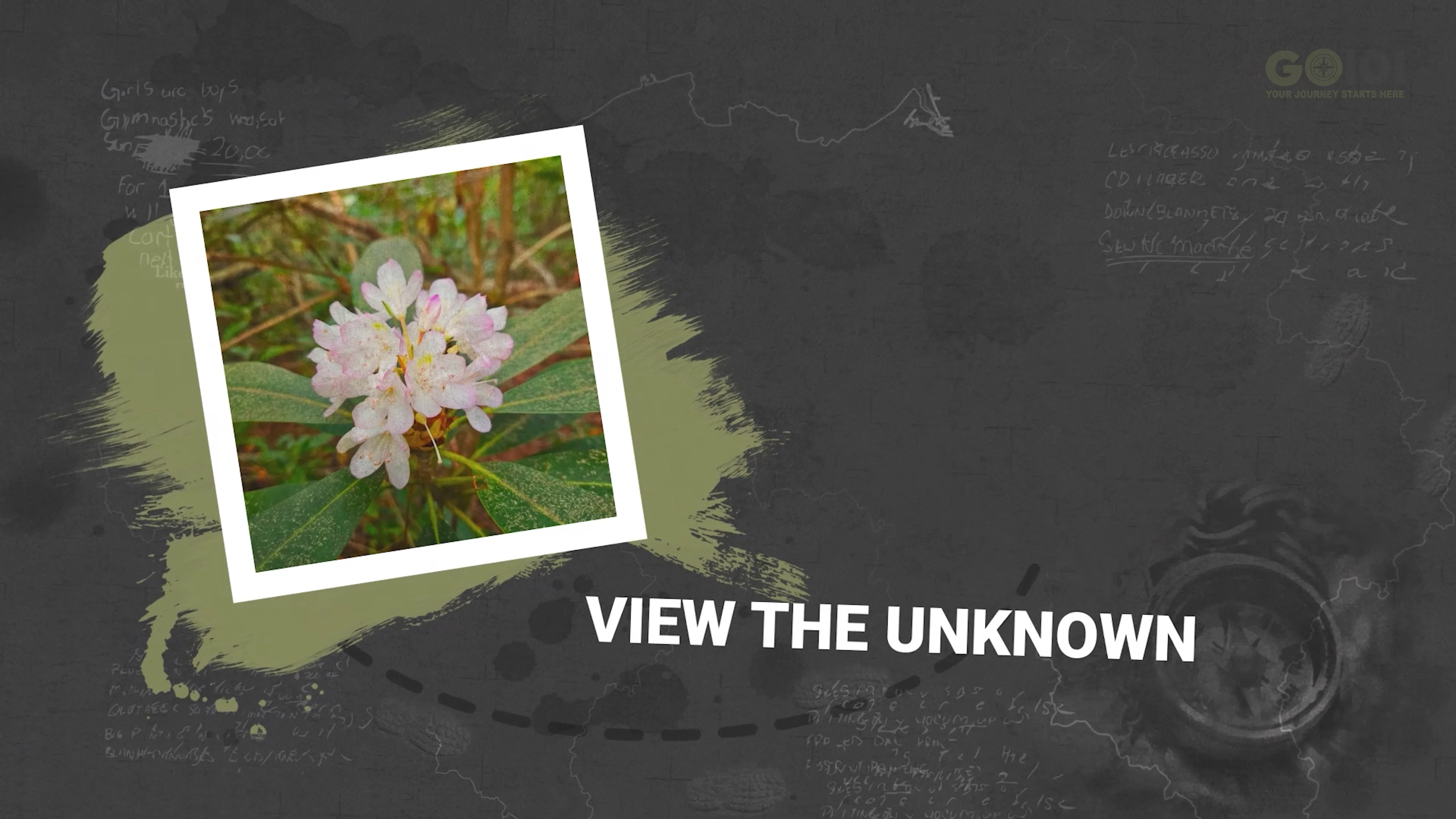 Go101 Website Introduction Video