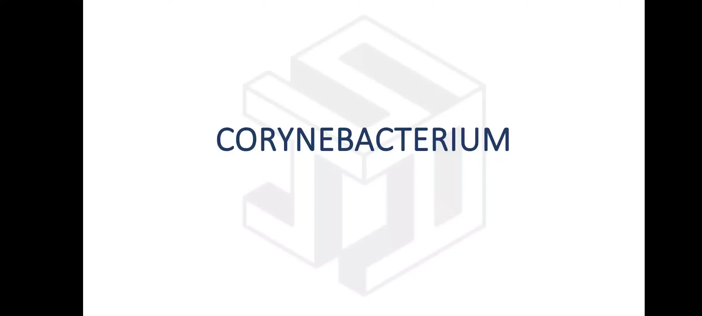 corynebacterium