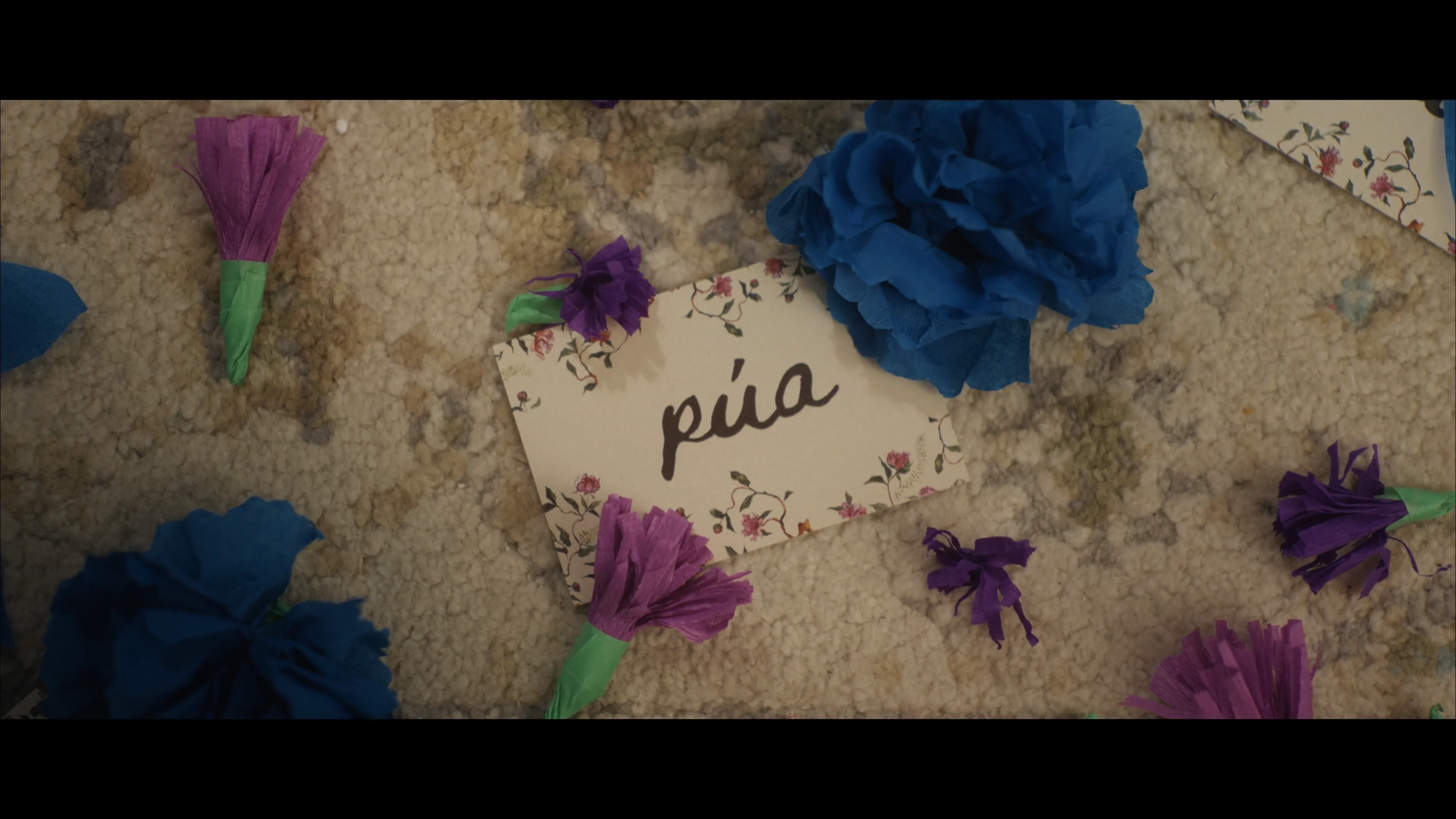 PÚA - Dorca Jiménez y María Amelia Díaz