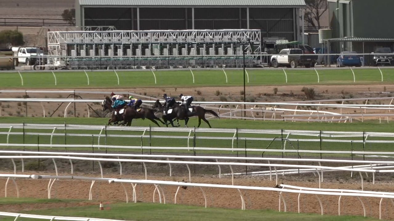 22/04/2025 Murray Bridge • Racing SA