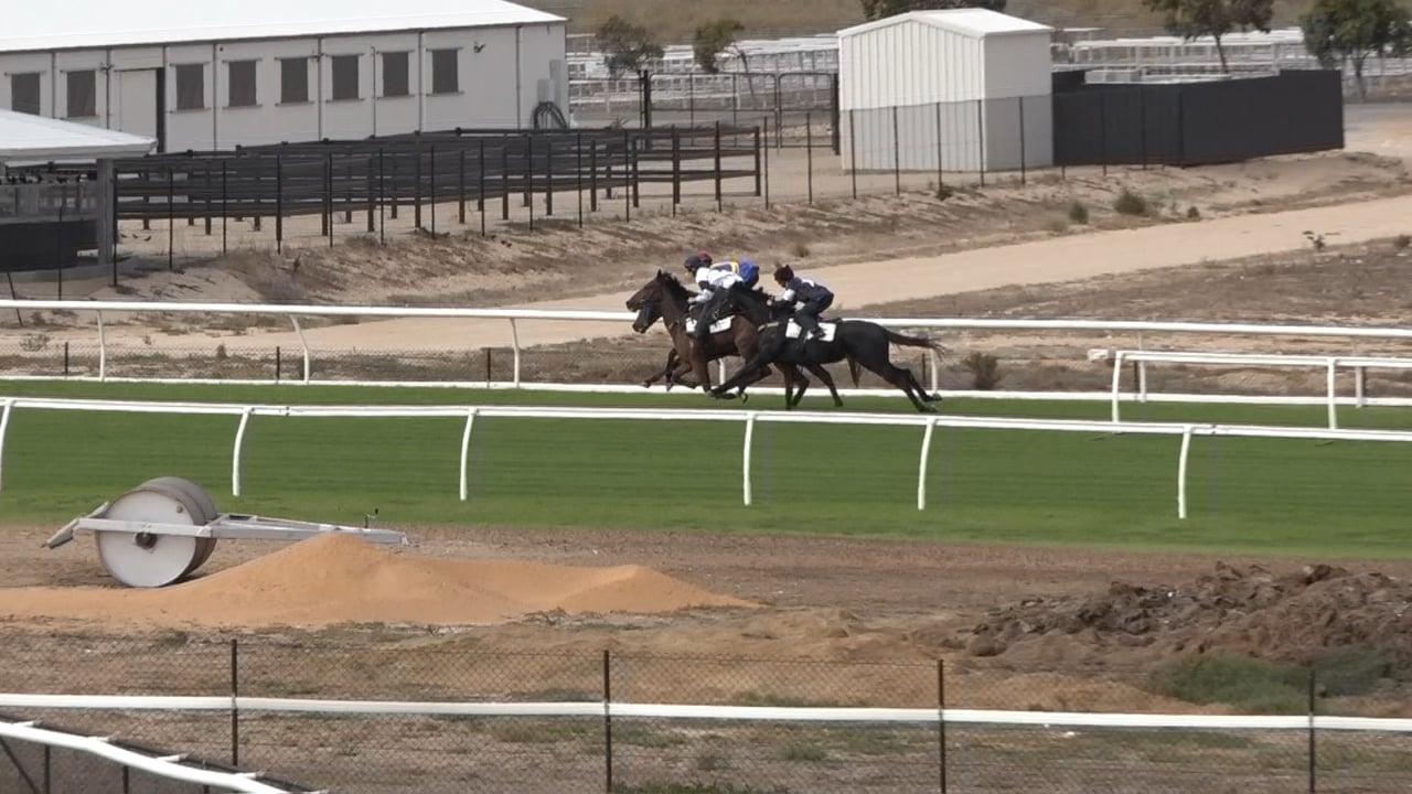 22/04/2025 Murray Bridge • Racing SA