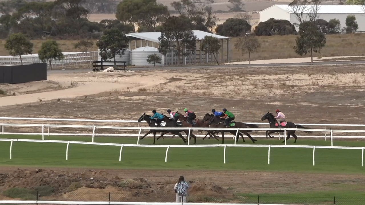 22/04/2025 Murray Bridge • Racing SA