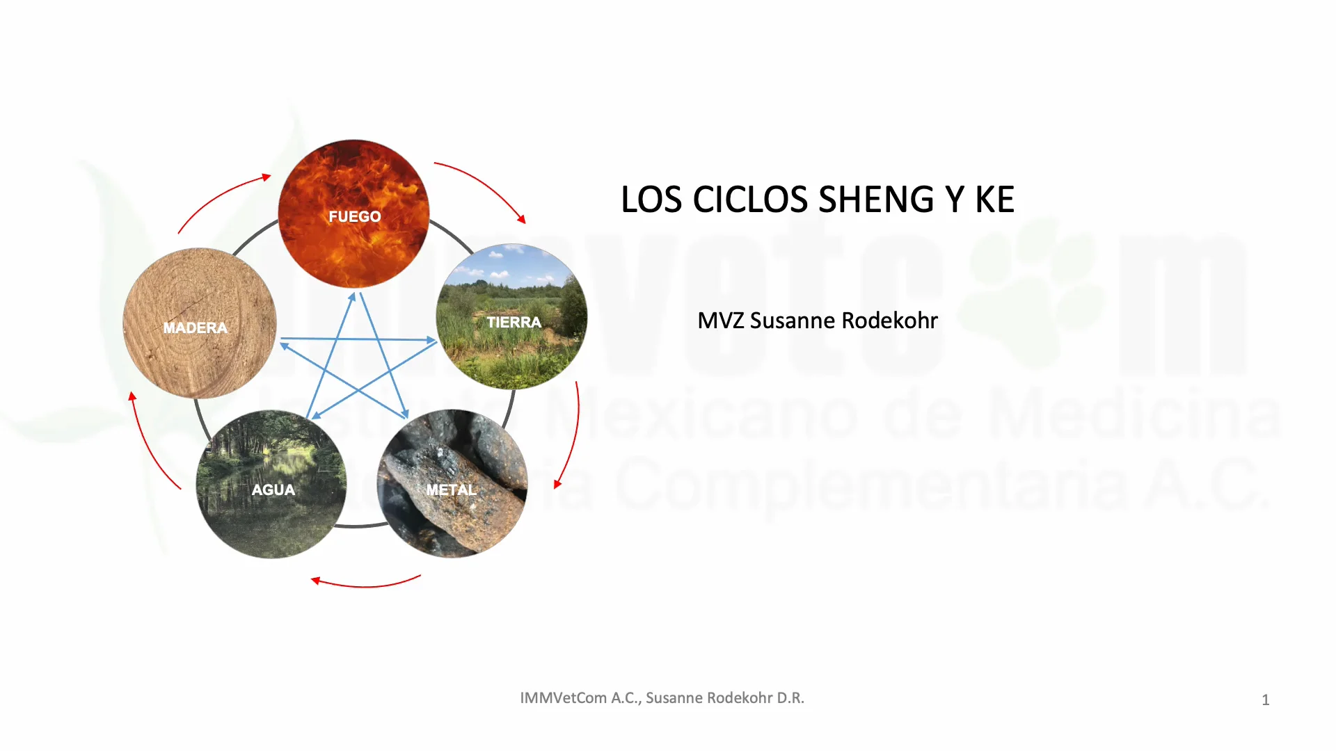 Los ciclo sheng y ke