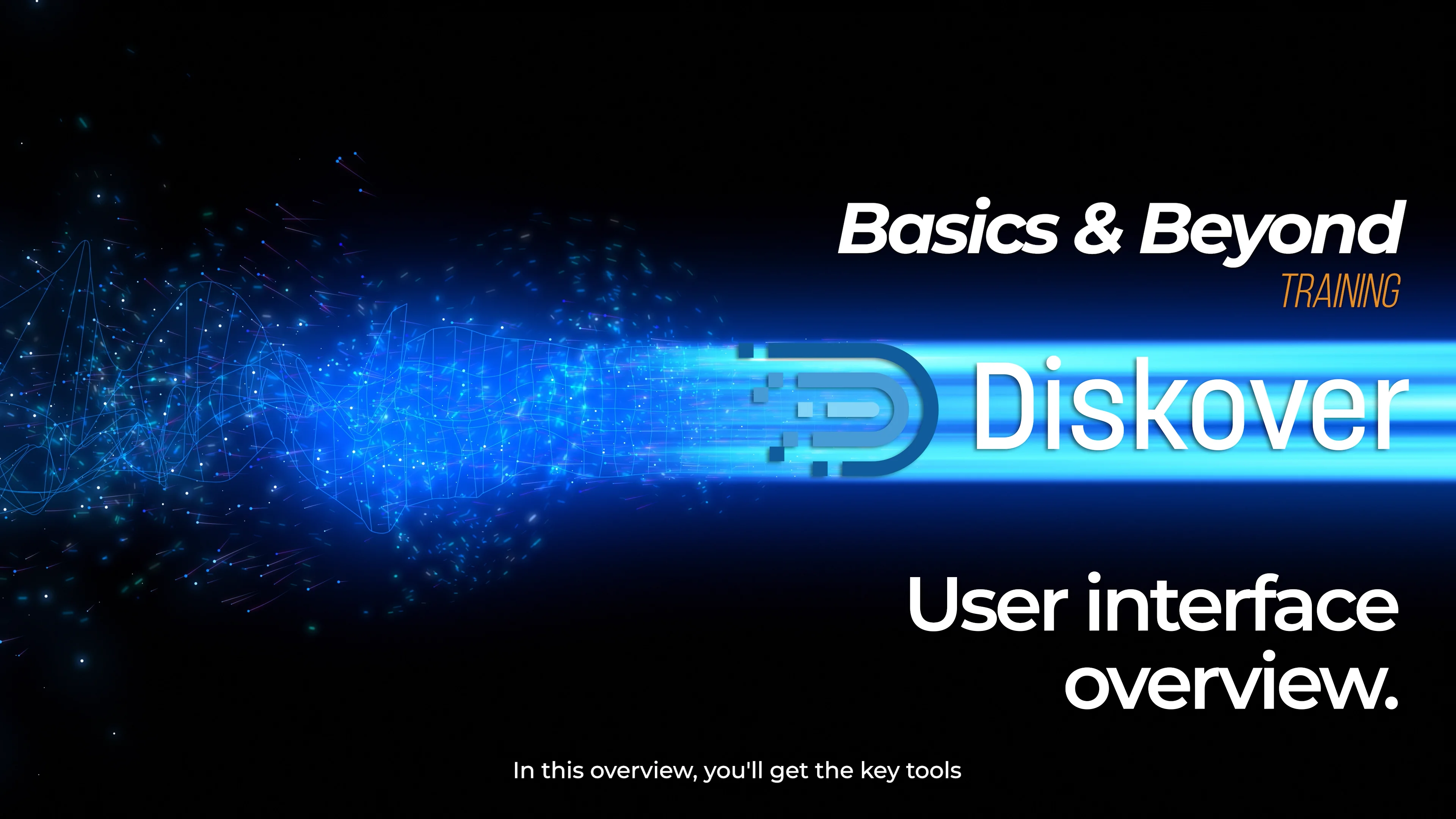 BASICS & BEYOND | Diskover Interface overview