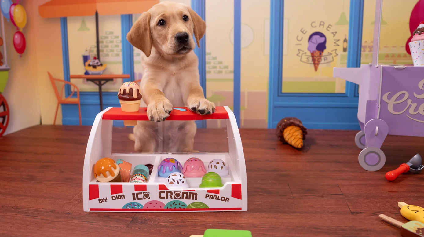 Graham's Sugar Rush Teaser