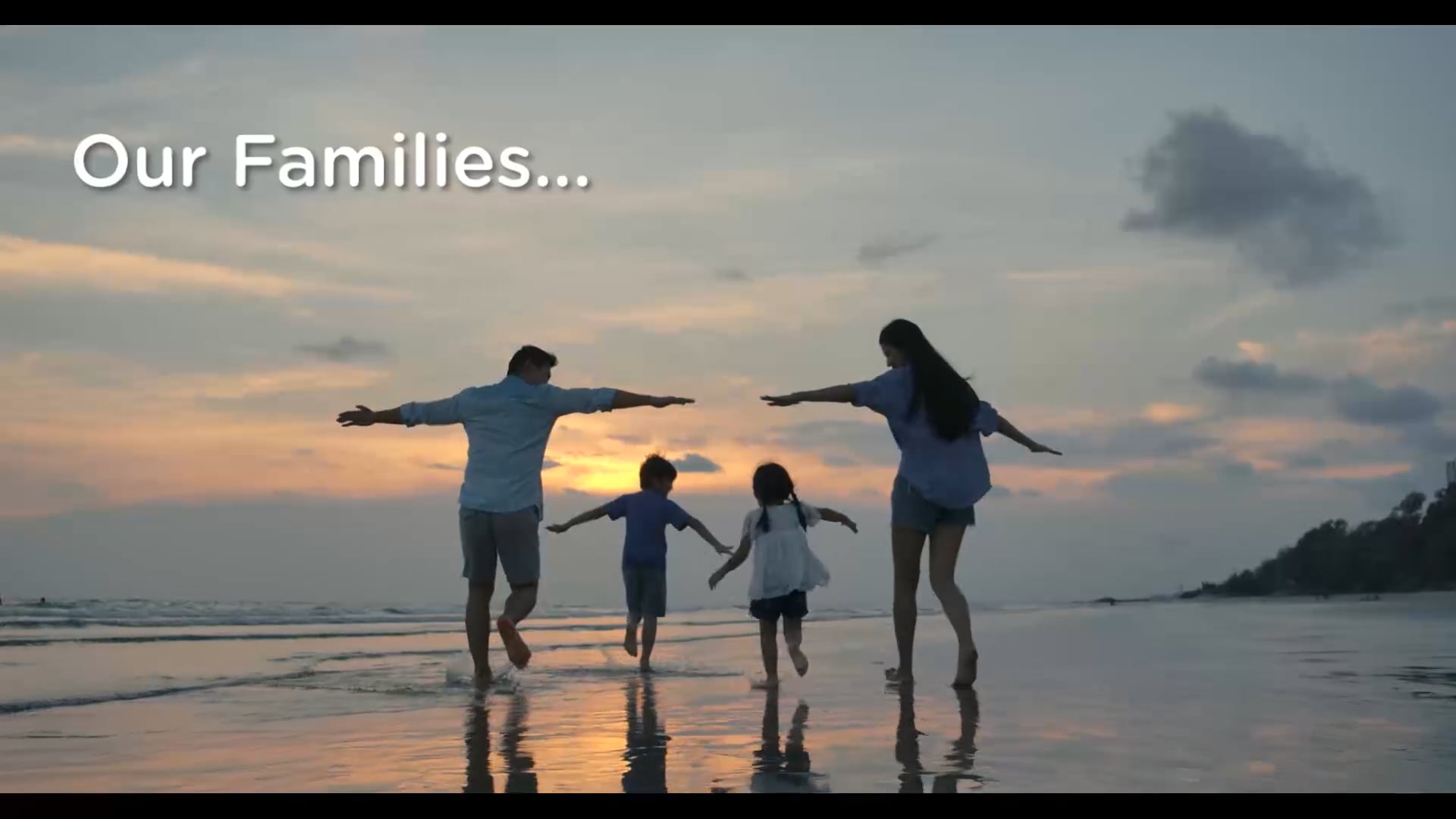 The Community Vitality Experience