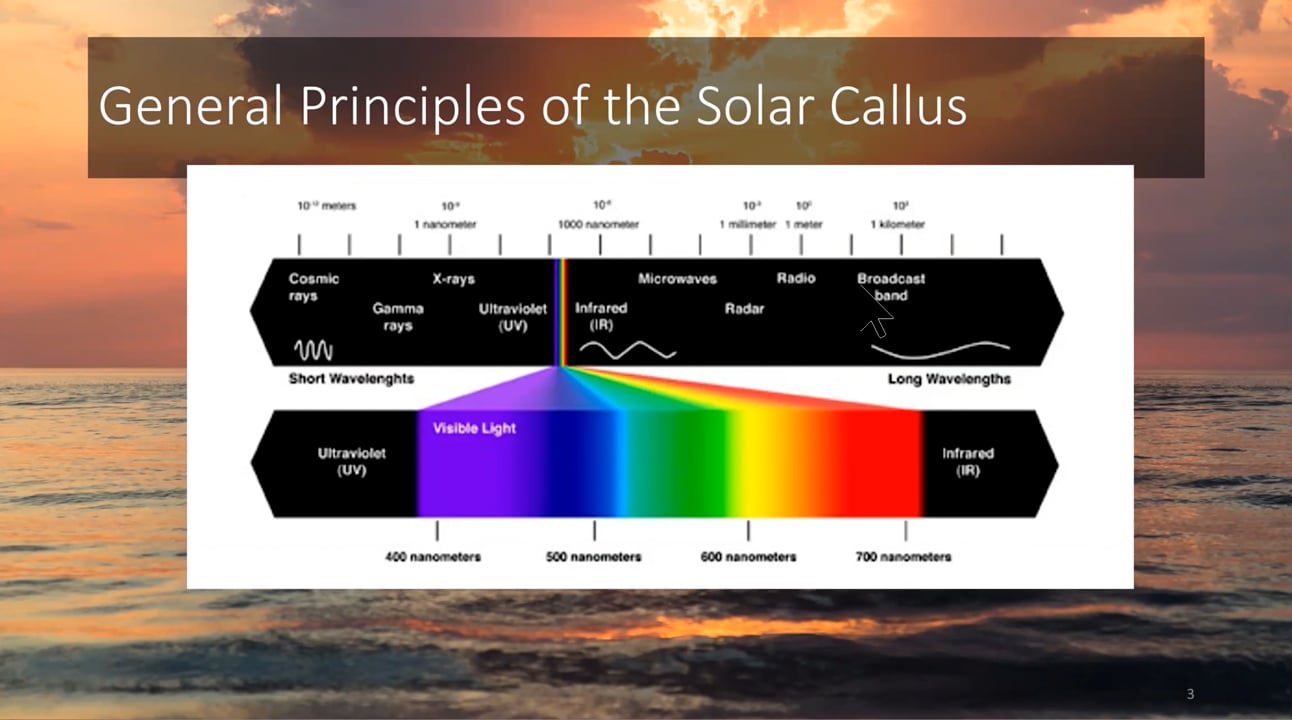 Month 6 - Solar Callus AM