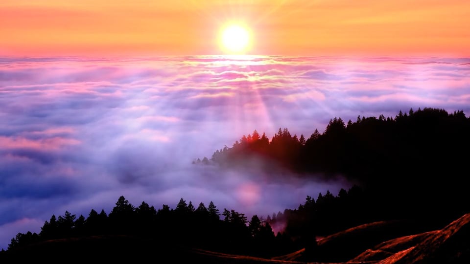 Holistic Health Practitioner | Wray of Sunshine