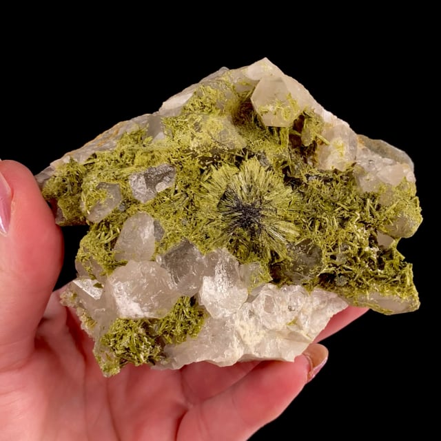 Epidote with Quartz | Teeter Quarry, Cumberland Township, Adams Co ...