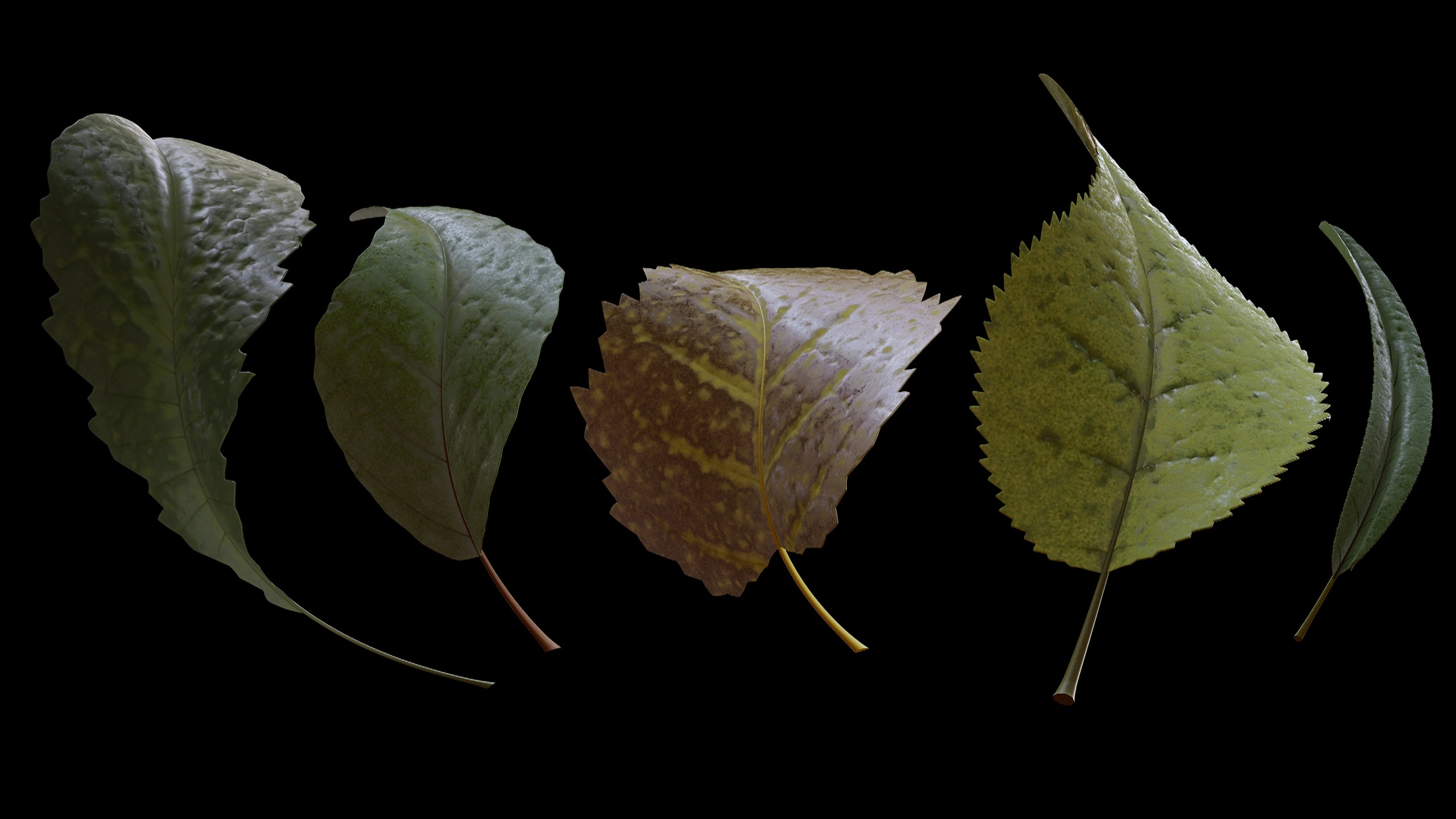 Bifrost_leaf_generator