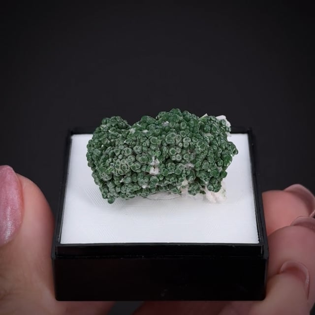 Conichalcite - POHL25-020 - Tsumeb Mine - Namibia Mineral Specimen