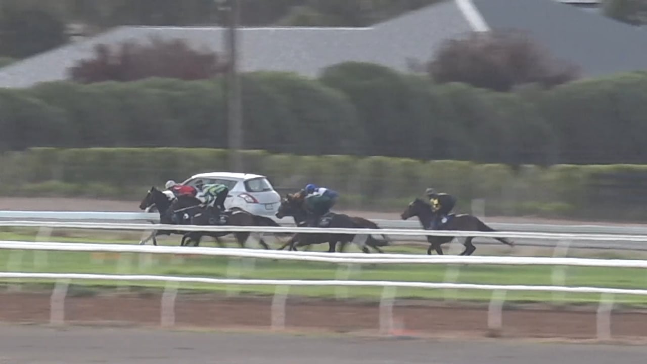 29/04/2025 Strathalbyn • Racing SA