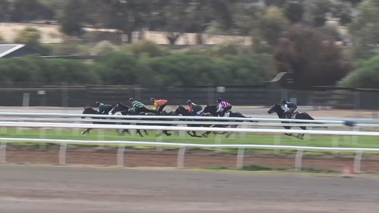 29/04/2025 Strathalbyn • Racing SA