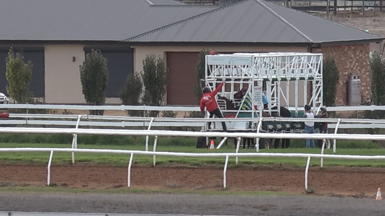 29/04/2025 Strathalbyn • Racing SA