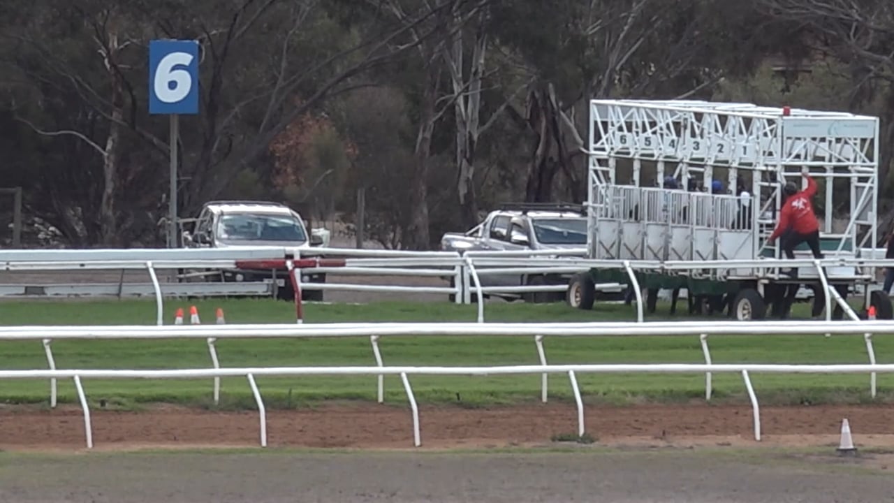 29/04/2025 Strathalbyn • Racing SA