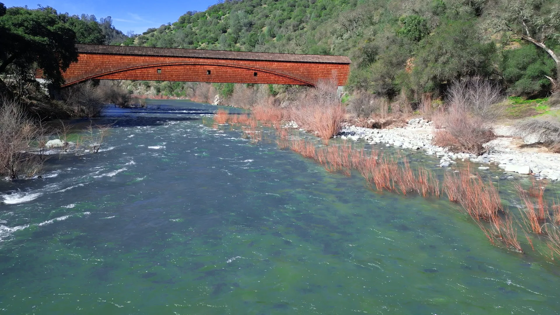 Allerion Consulting Group