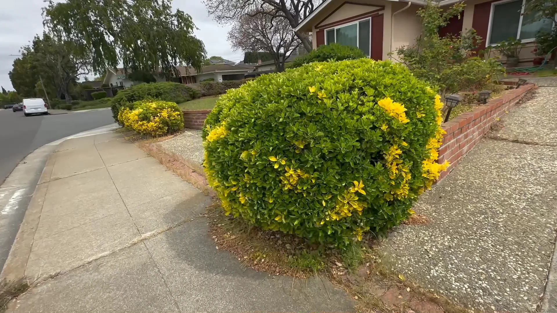 Older Woman Need Help | #1530