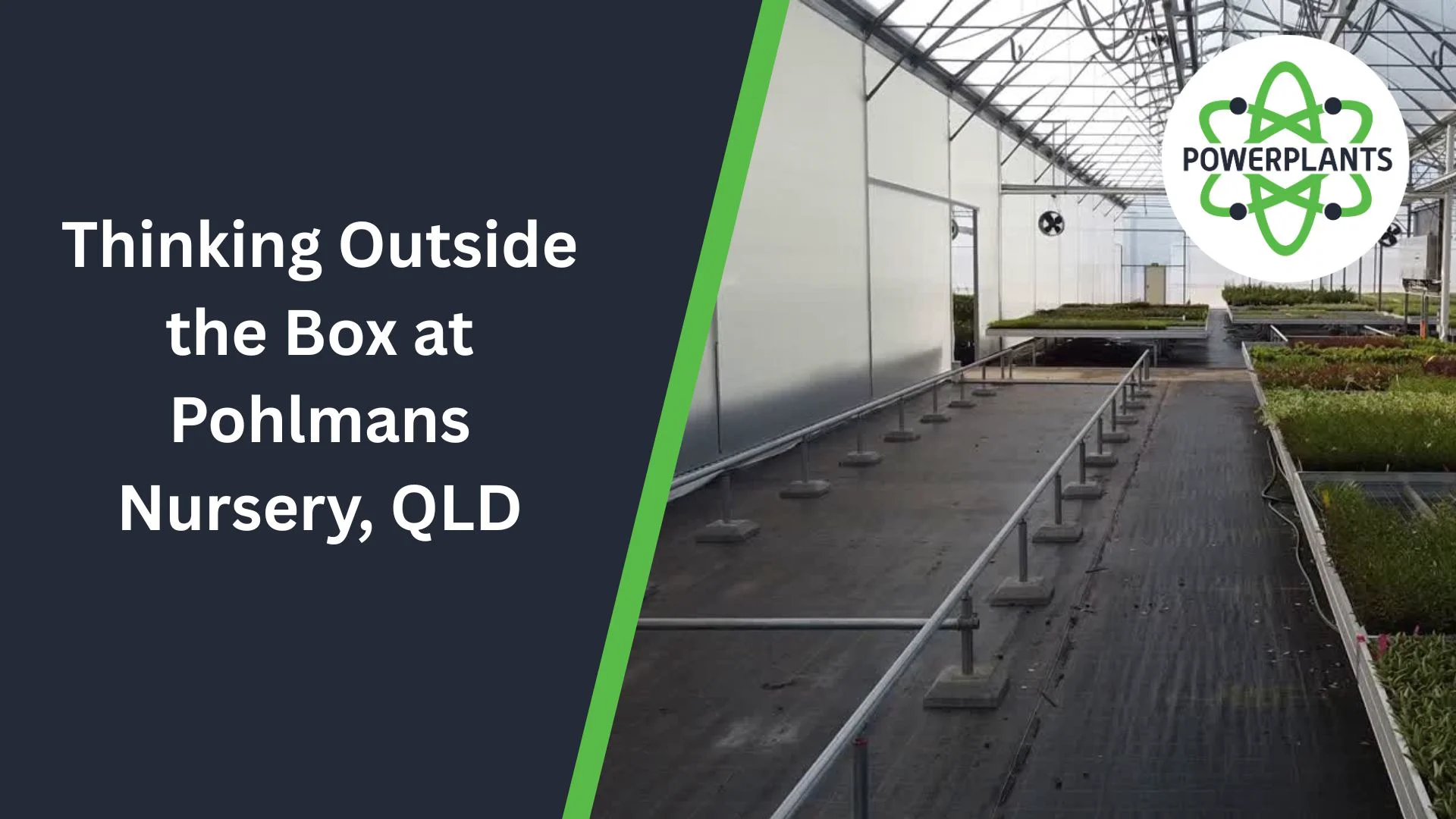 Powerplants Pohlmans Nursery A25
