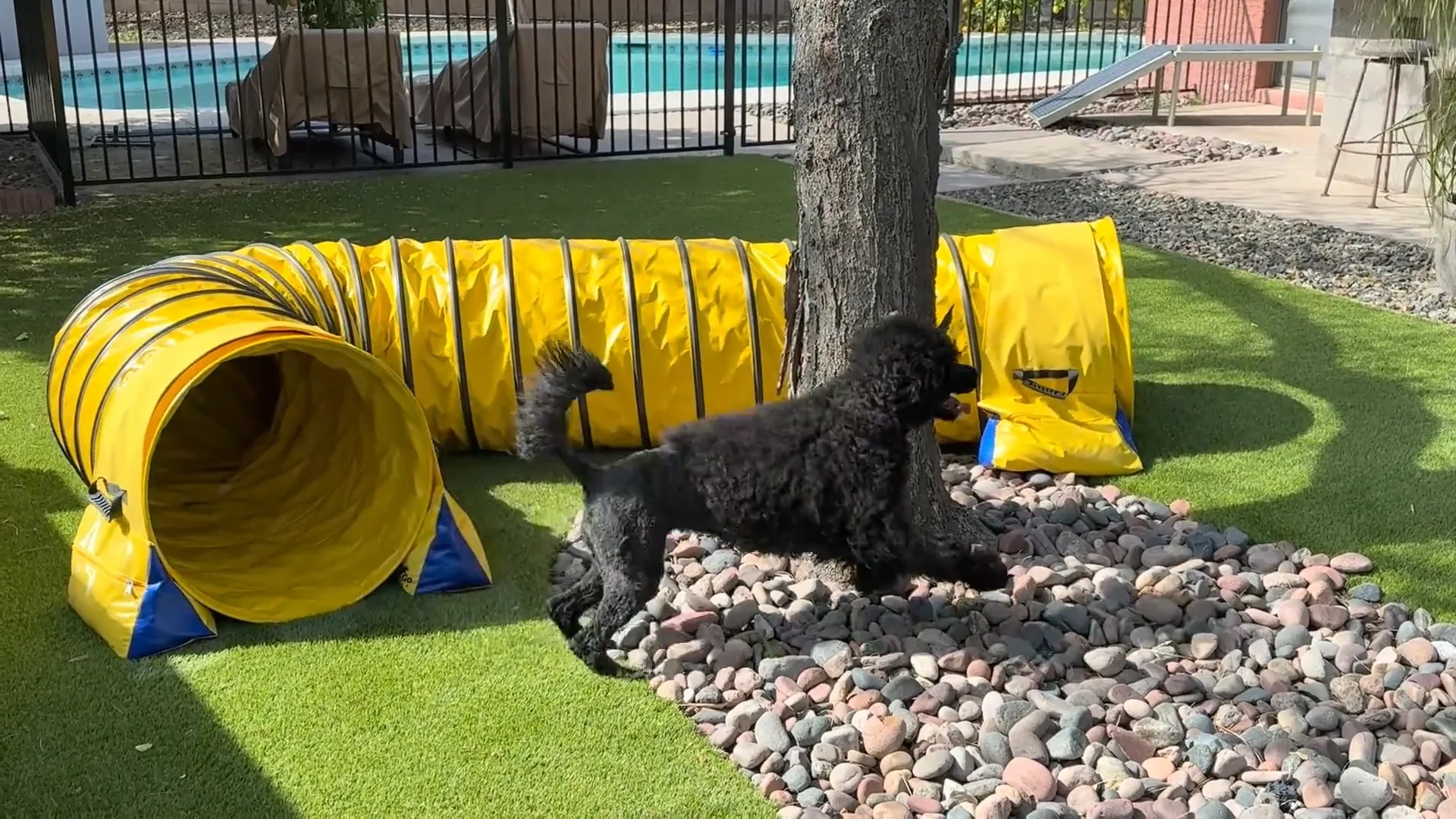 RSPWDCAZ 7 PWD Activities Final 2