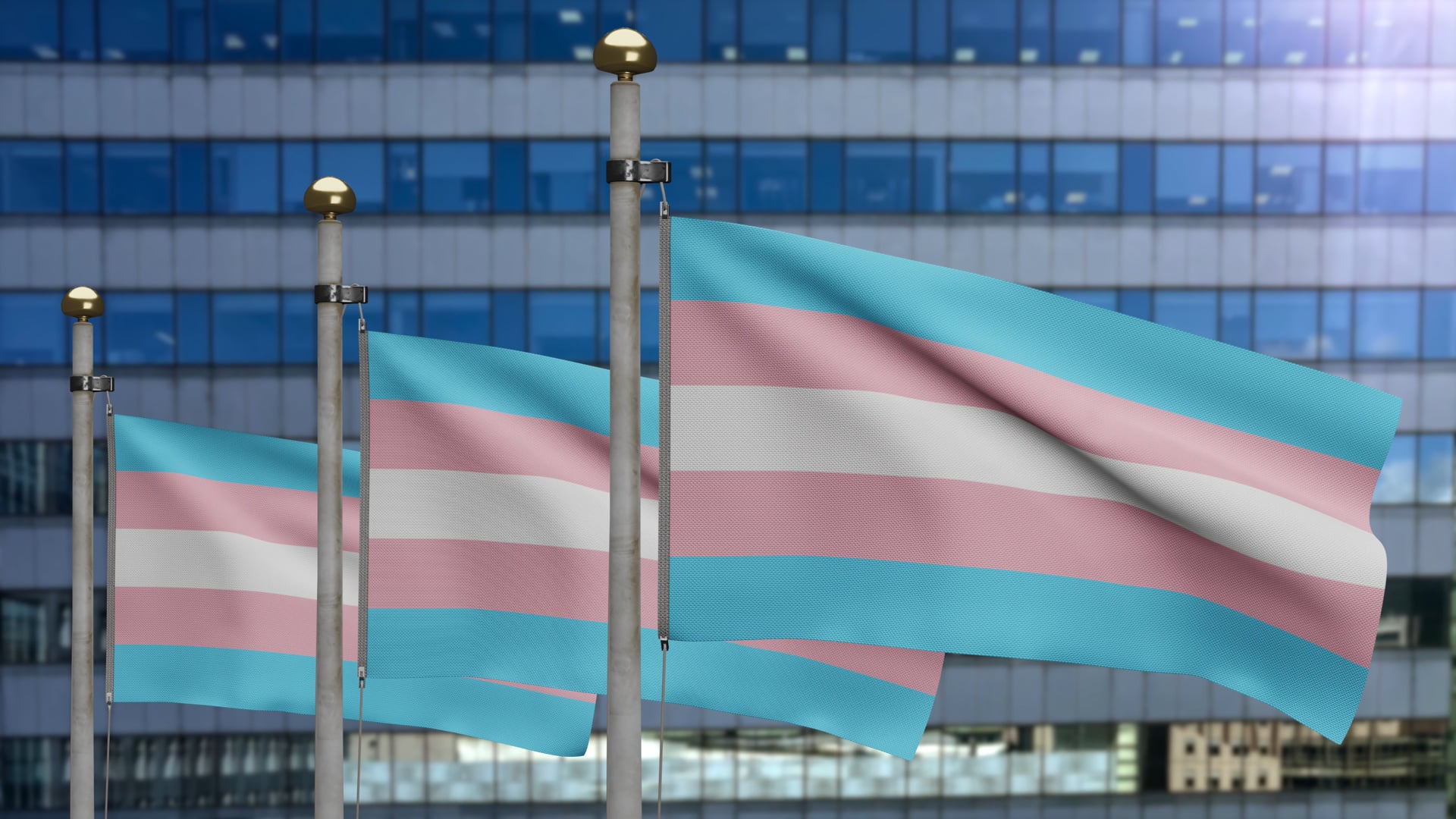 We are 'Your Trans Plan'