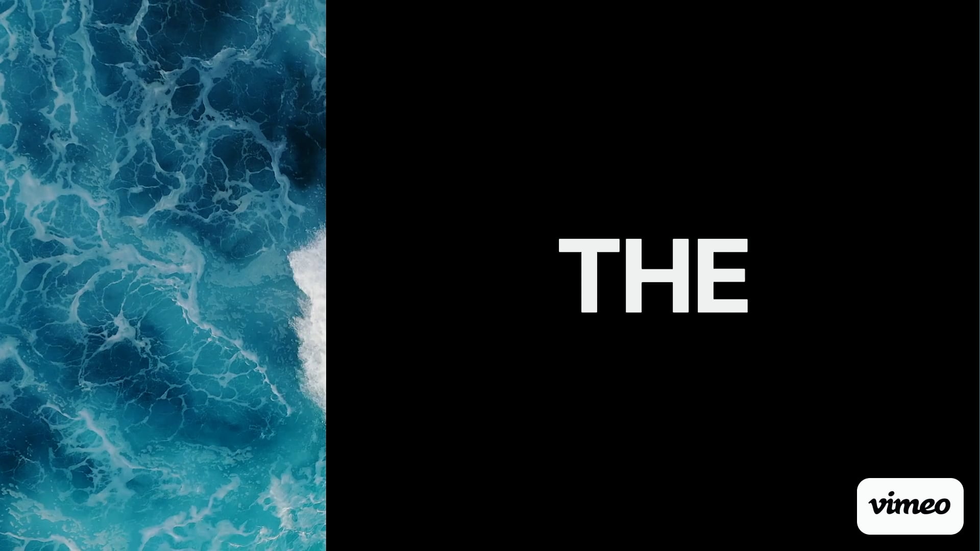 Freebies | The Social Lion