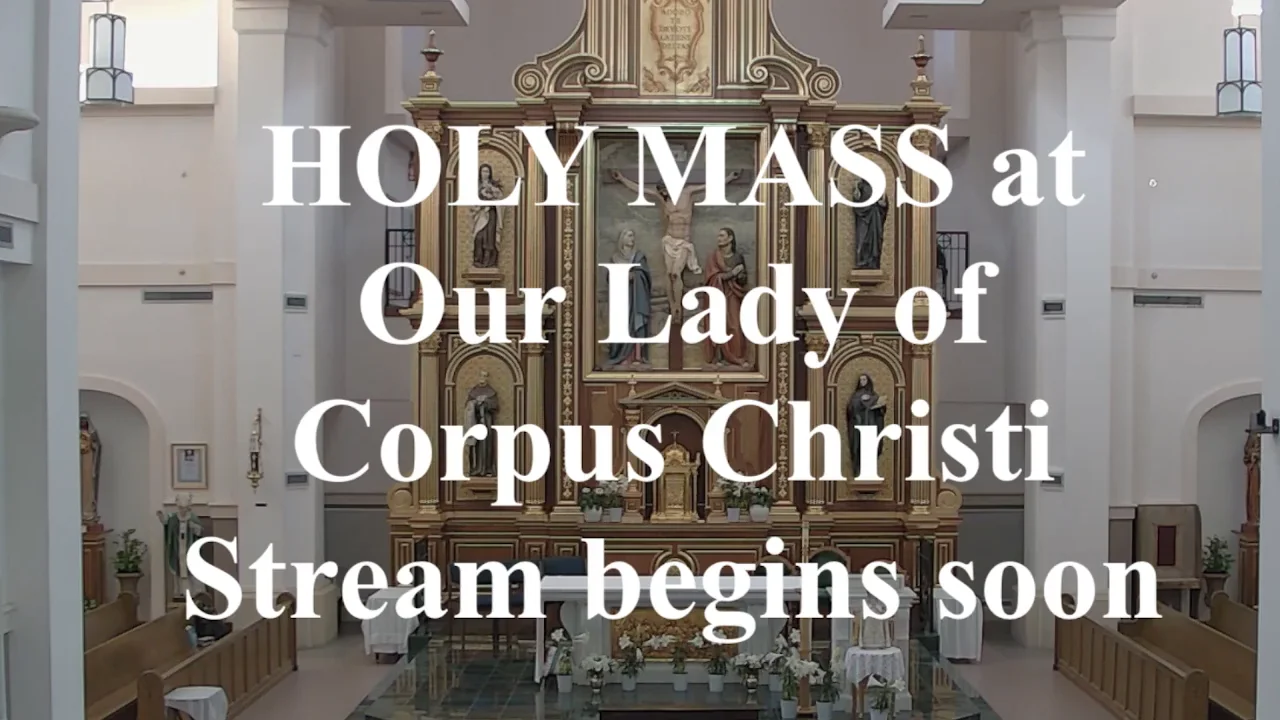 Daily Mass at Our Lady of Corpus Christi