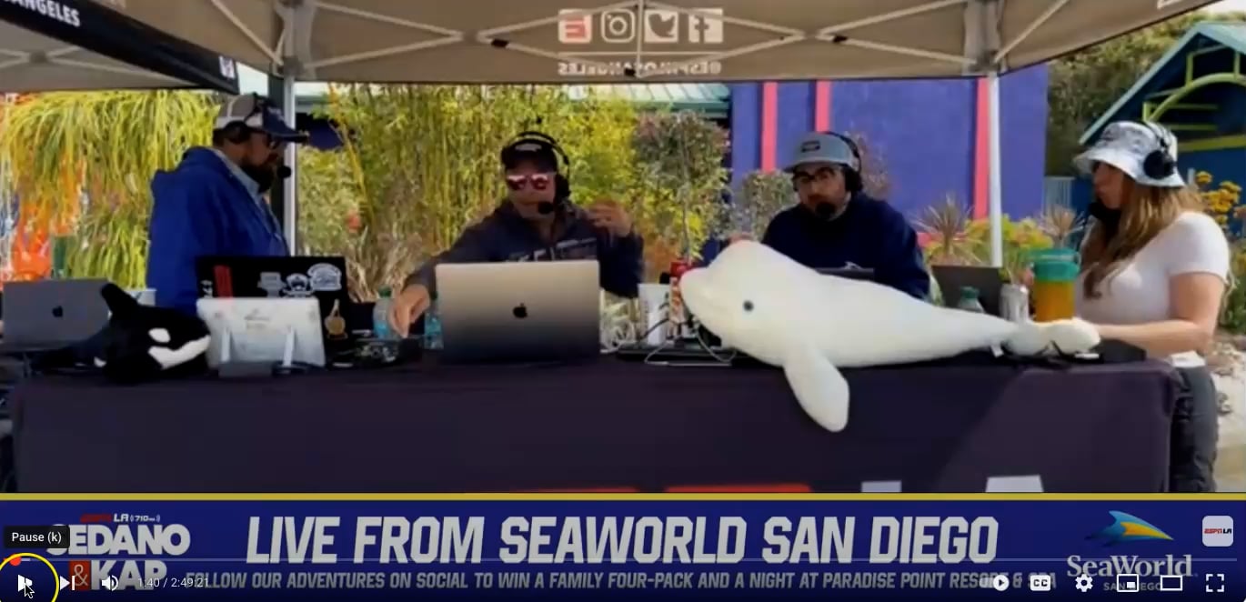 Seaworld YT Clip