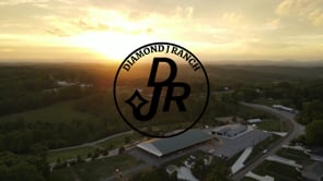 Home [diamondjranchtn.com]
