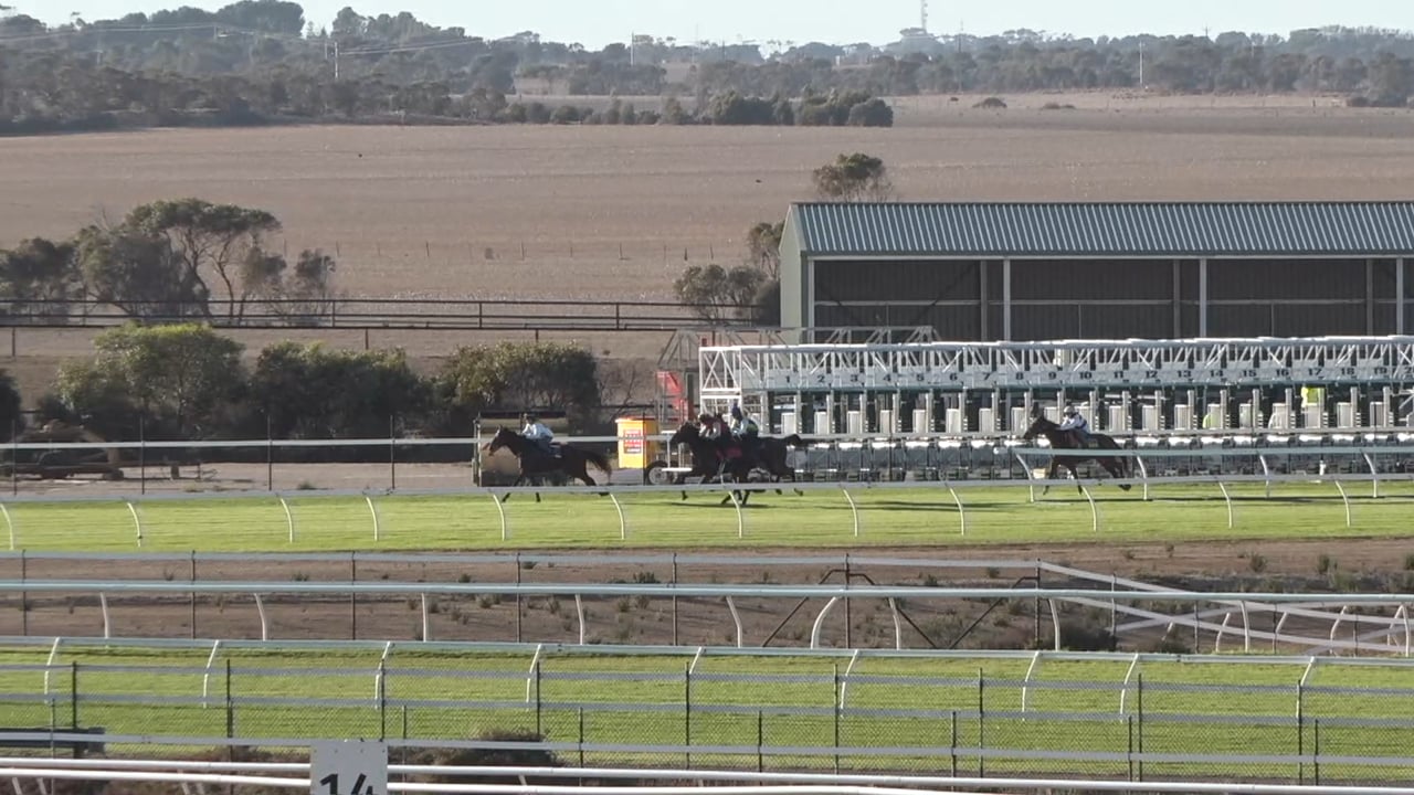 05/05/2025 Murray Bridge • Racing SA