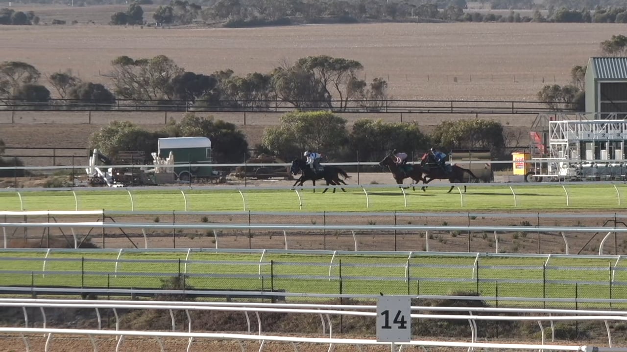 05/05/2025 Murray Bridge • Racing SA