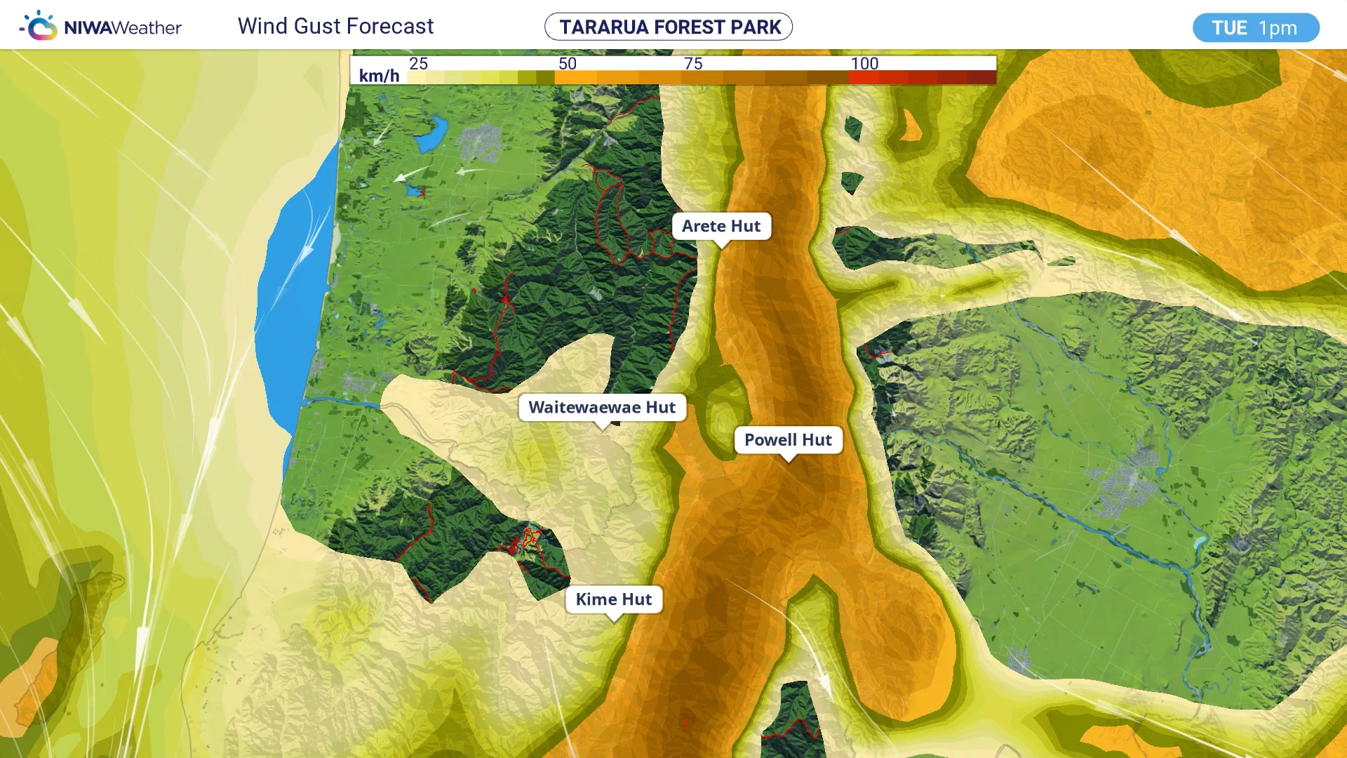 Tararua Forest Park Weather Outlook