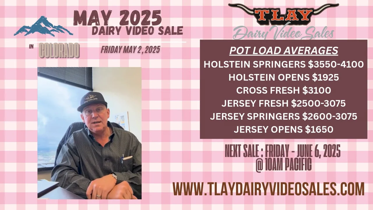 MAY 2025 DVS MARKET REPORT