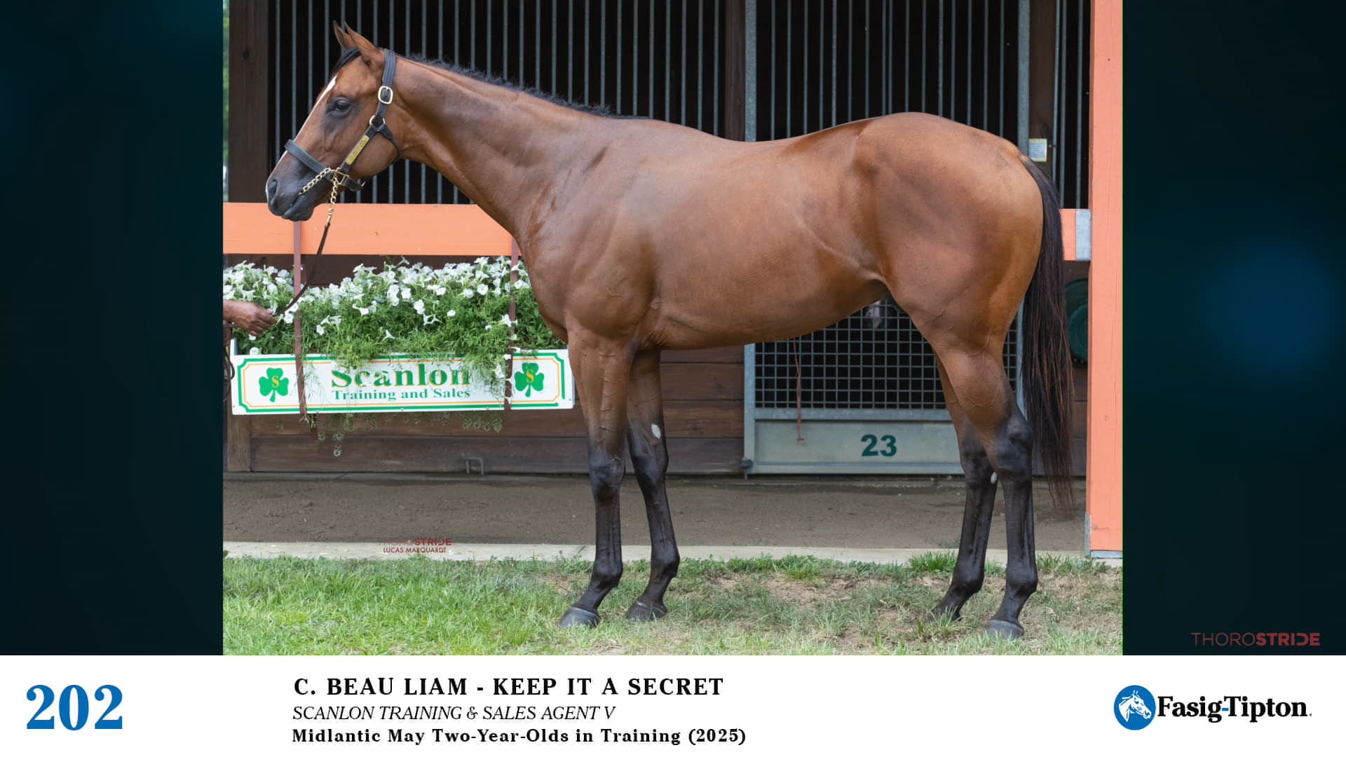 FTMMAY25, Hip 202, c. BEAU LIAM - KEEP IT A SECRET 23