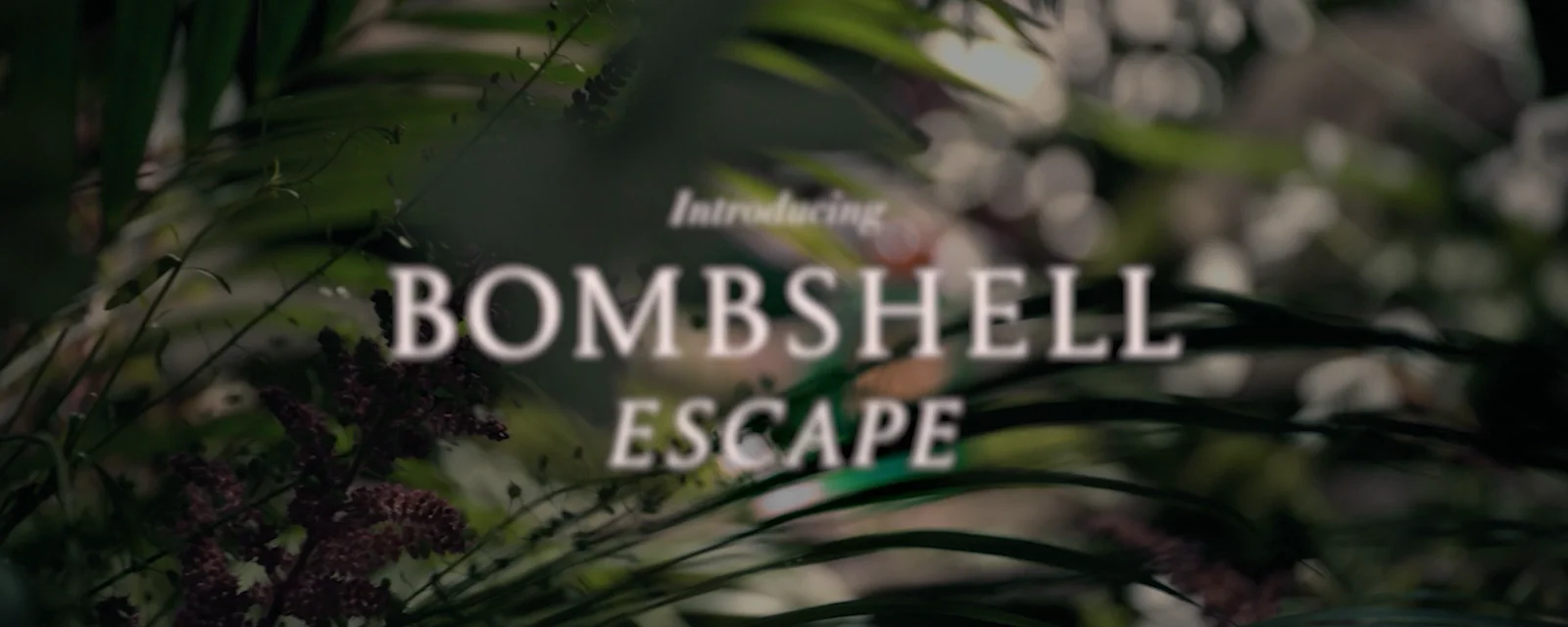 Bombshell Escape Ecomm_Desktop