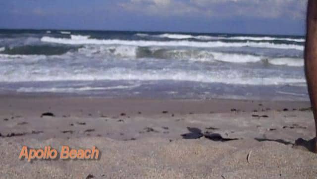 Apollo Beach on Vimeo